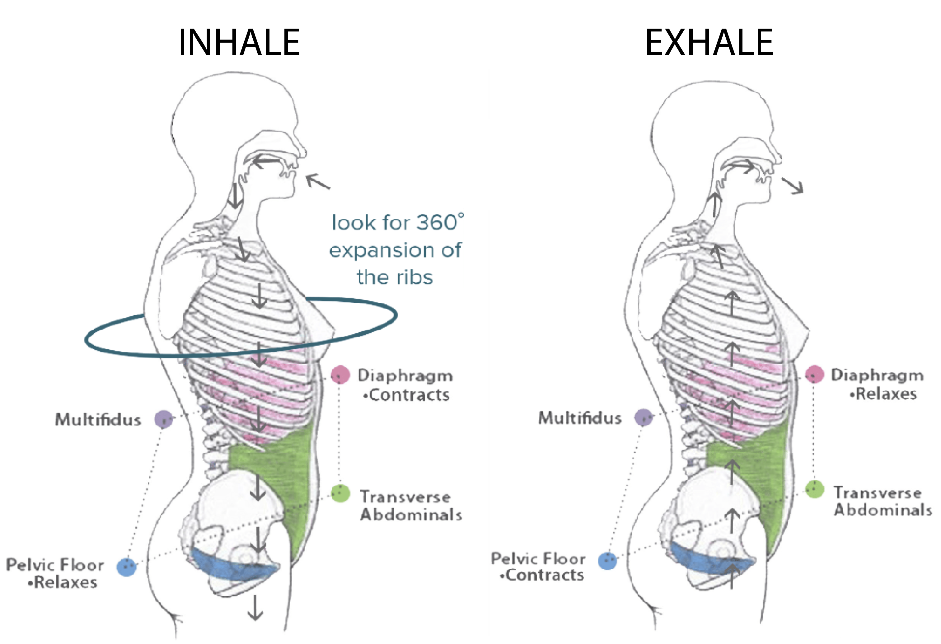 Navigating Early Postpartum Exercise: a step by step guide – CHRISTY ...